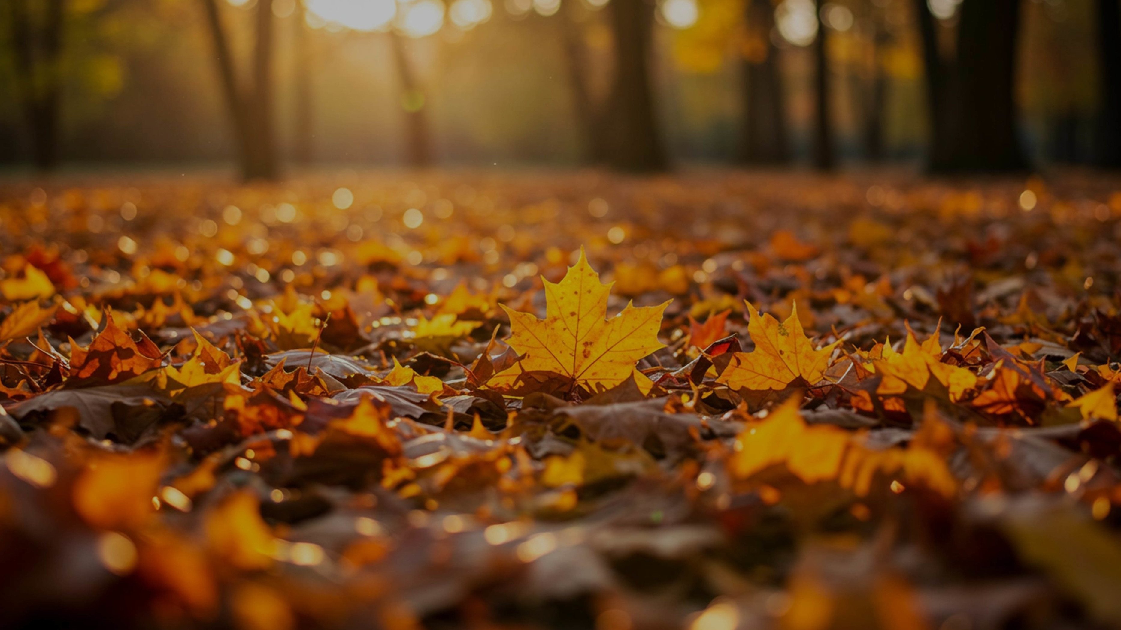 Farris Bad - Spa hotel by the ocean, near Oslo | Farris Bad